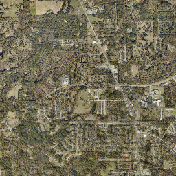 Trails in Longview