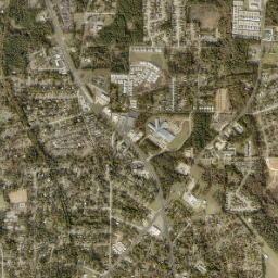 Trails in Longview