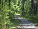 Julieanna Park